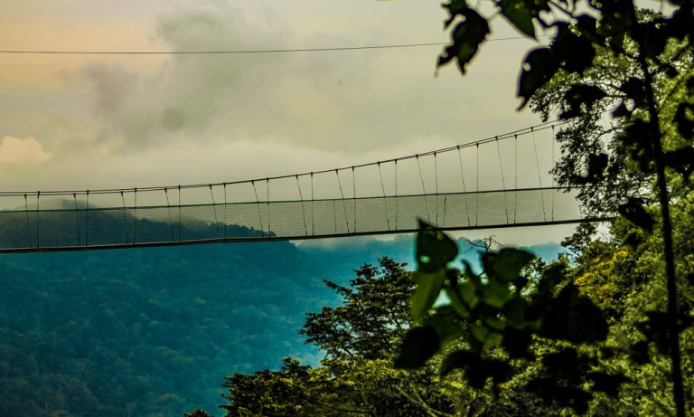 Zipline in Nyungwe - Unique Rwanda Vacation Experts